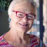 Ginger’s Bilingual Horses – the solo snowbird